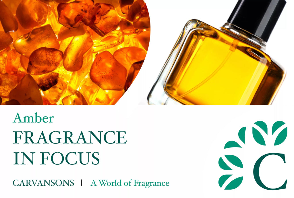 Amber Perfume Notes: What They Are & Why They're So Addictive ...